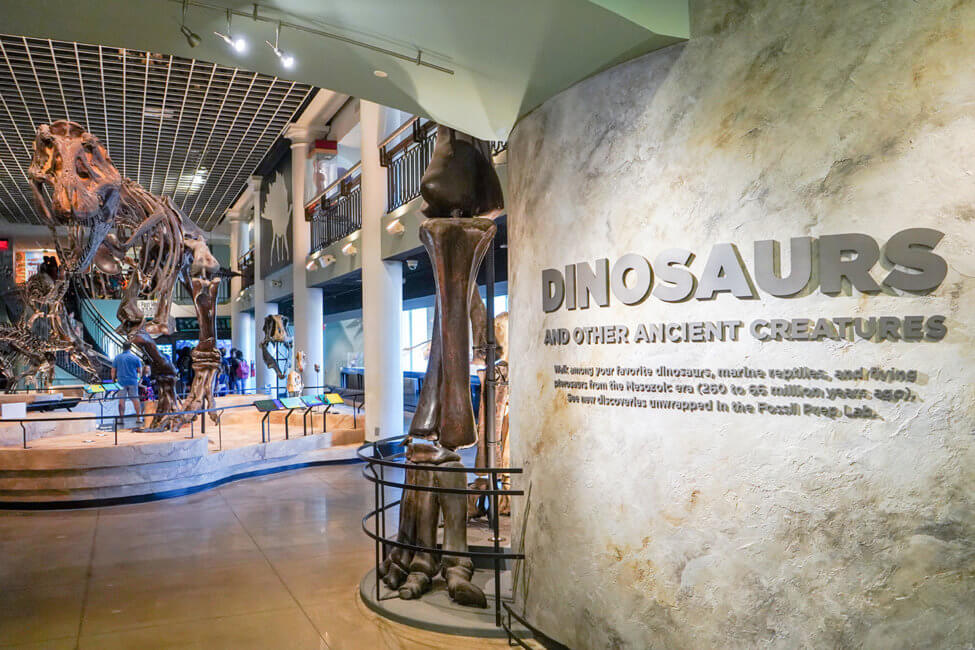 Museums on the Parkway in Philadelphia - DiscoverPHL